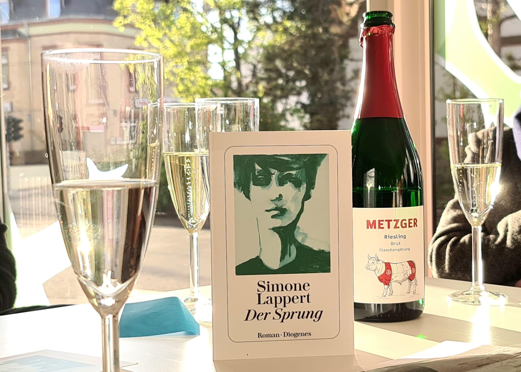 Mainz liest 'Der Sprung' von Simone Lappert - mainzliest.de